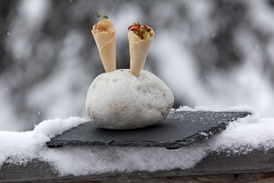 Slope Food - “A Taste for Skiing” in Alta Badia | Easier